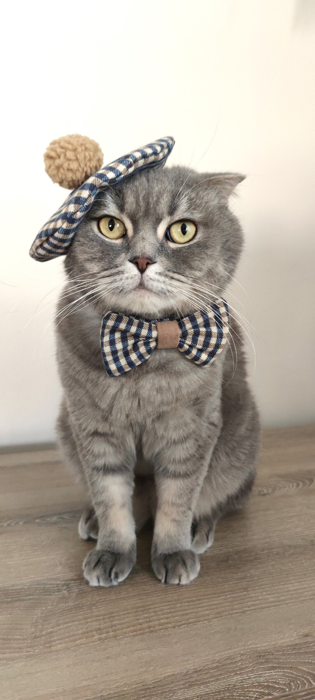 Costume for Cat, Beret Hat and Bowtie Set, Cat Outfit, Cat Bow Tie, Cat ...
