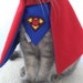 Supercat Costume for Cats, Super Hero Cape, Cat Costume, Super Cat ...