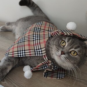 Beret and Cape for Pets, 2 Piece Costume for Cats and Dogs, Pet Cloak ...
