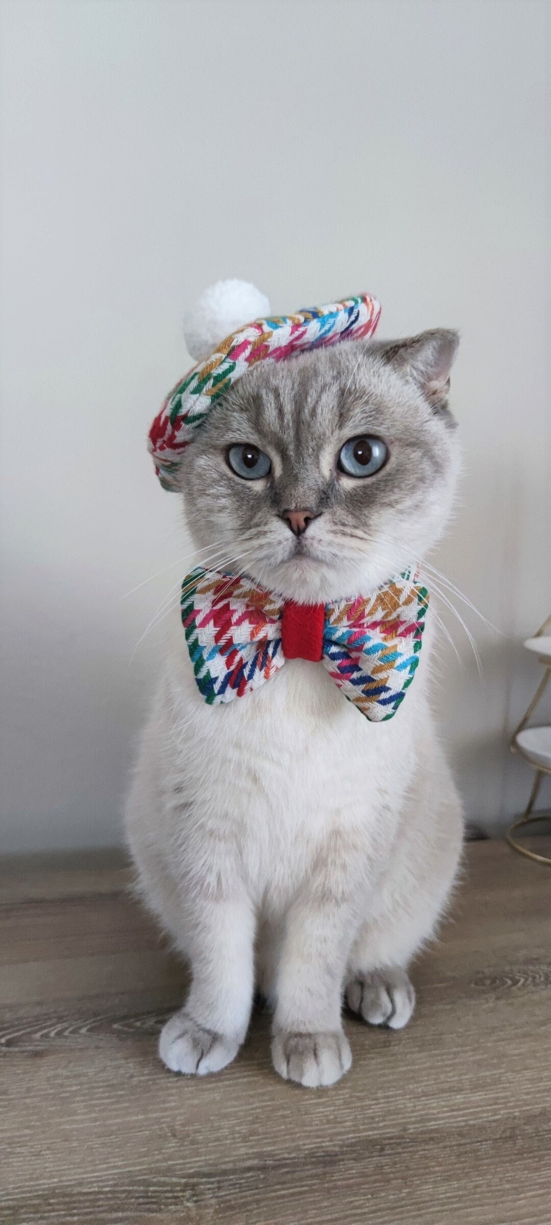 2 Piece Set Beret Hat and Bowtie Set for Cats, Cat Outfit, Costume for ...