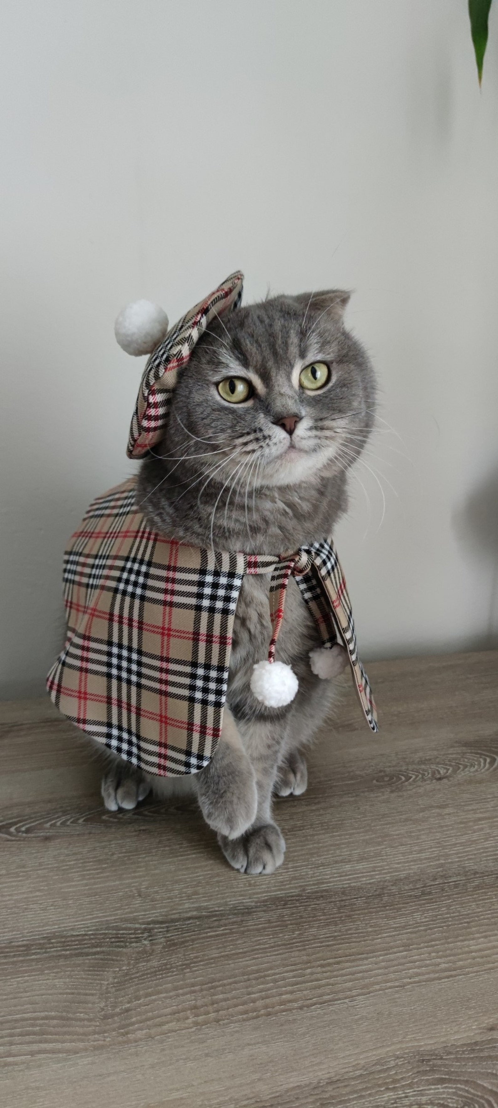 Beret and Cape for Pets, 2 Piece Costume for Cats and Dogs, Pet Cloak ...