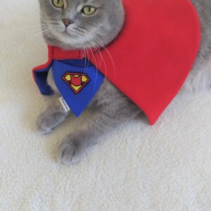 Supercat Costume for Cats, Super Hero Cape, Cat Costume, Super Cat ...