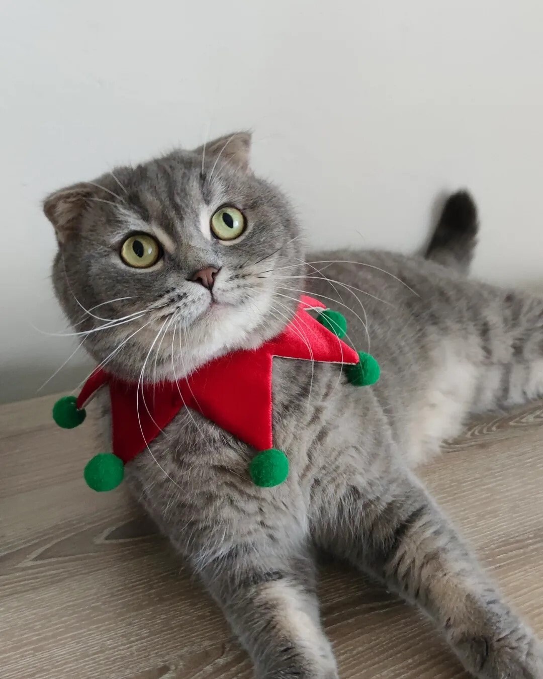 Elf Scarf for Cats, Christmas Costume for Pets, Elf Collar for Cats ...