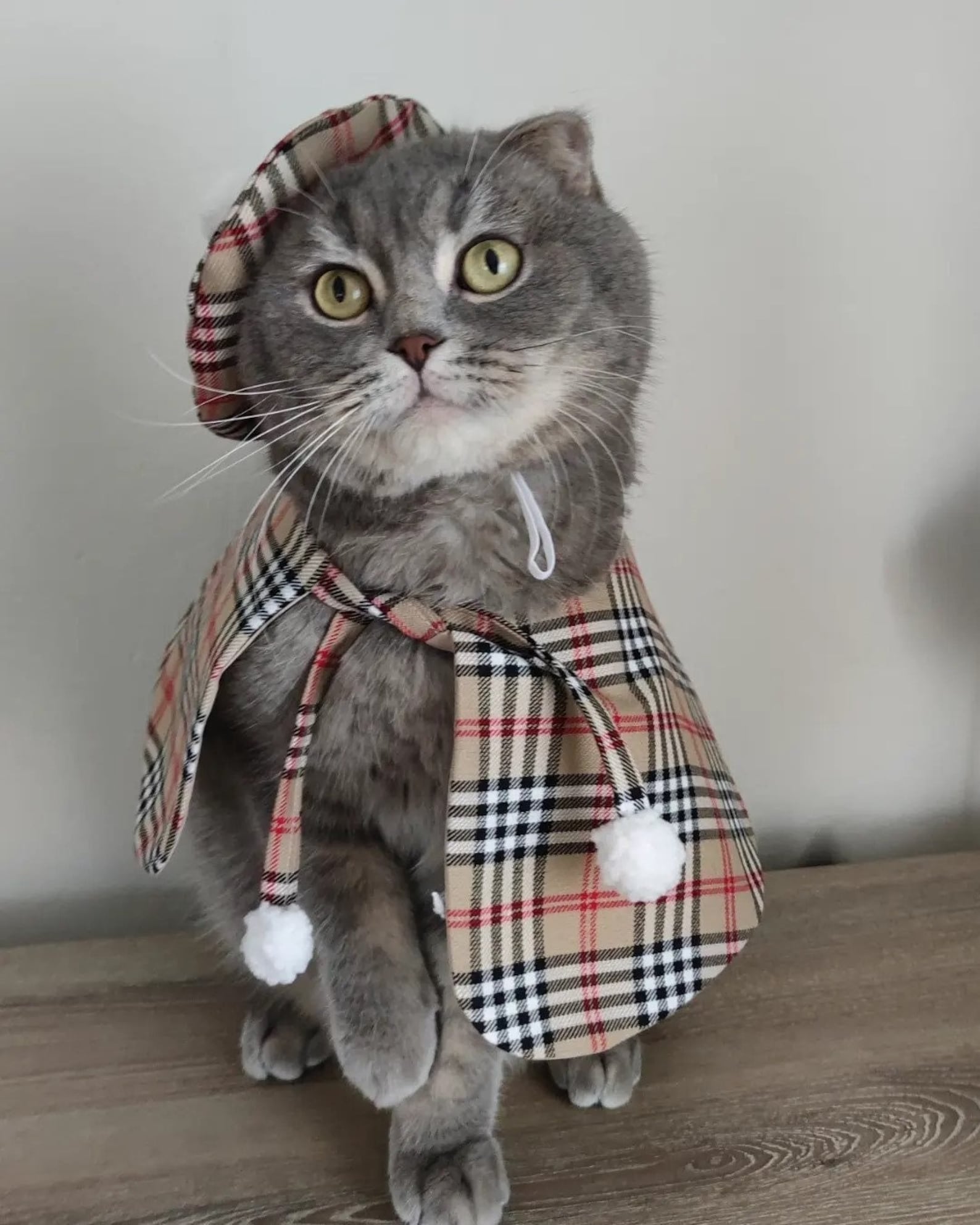 Beret and Cape for Pets, 2 Piece Costume for Cats and Dogs, Pet Cloak ...