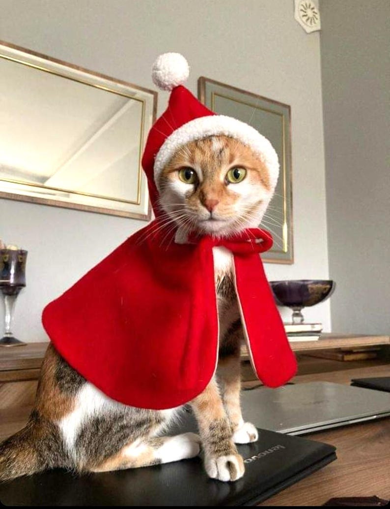 Santa Cat Costume: Christmas Fleece Cloak, New Year Pet Clothing - Etsy