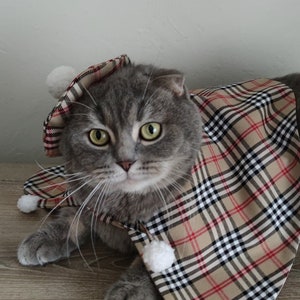 Beret and Cape for Pets, 2 Piece Costume for Cats and Dogs, Pet Cloak ...