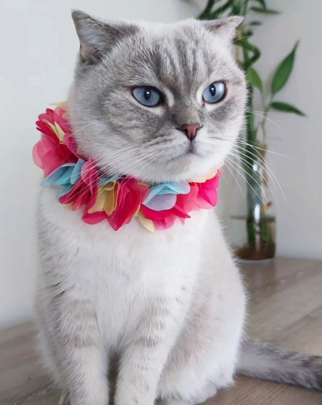 Flower Cat Collar, Girl Cat Collar, Floral Collar for Pet, Cat Neckwear ...