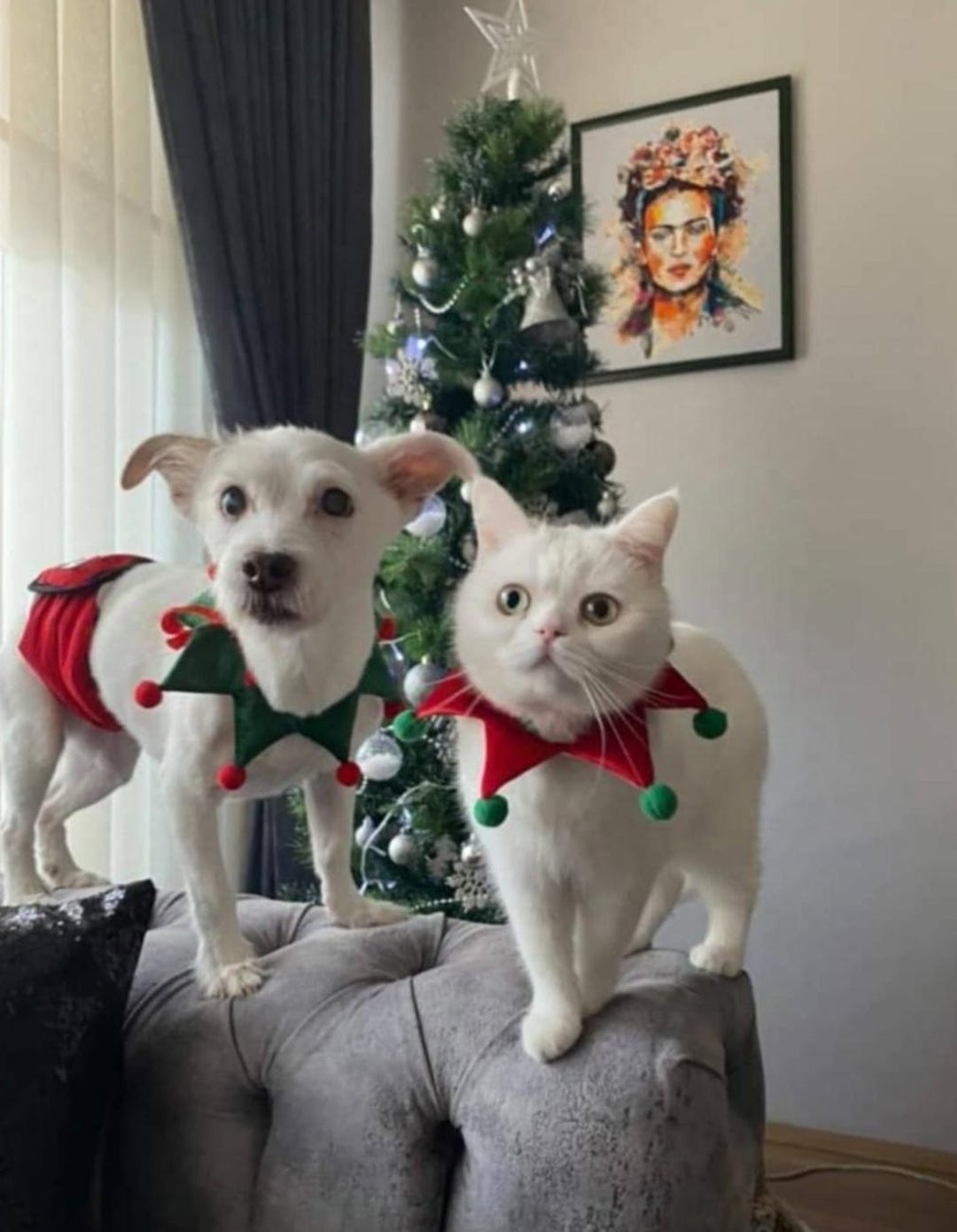 Elf Collar for Cats, Christmas Costume for Pets, Elf Scarf for Pets ...