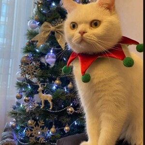 Elf Collar for Cats, Christmas Costume for Pets, Elf Scarf for Pets ...