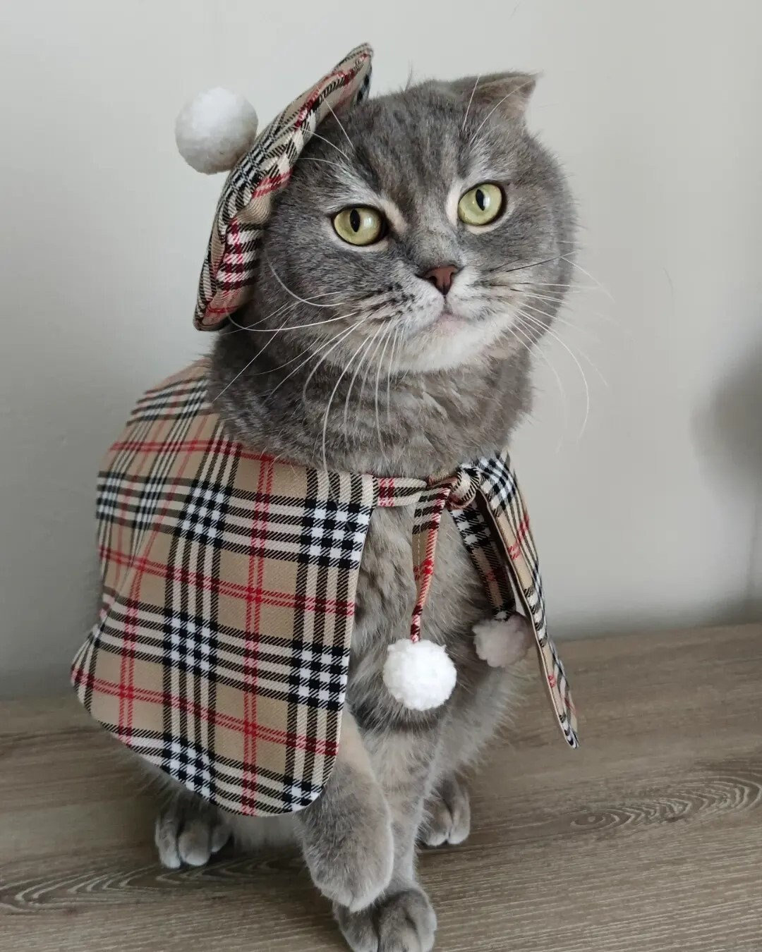Tartan Pet Costume: Beret and Cape Set for Cats & Small Dogs - Etsy