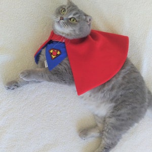 Supercat Costume for Cats, Super Hero Cape, Cat Costume, Super Cat ...