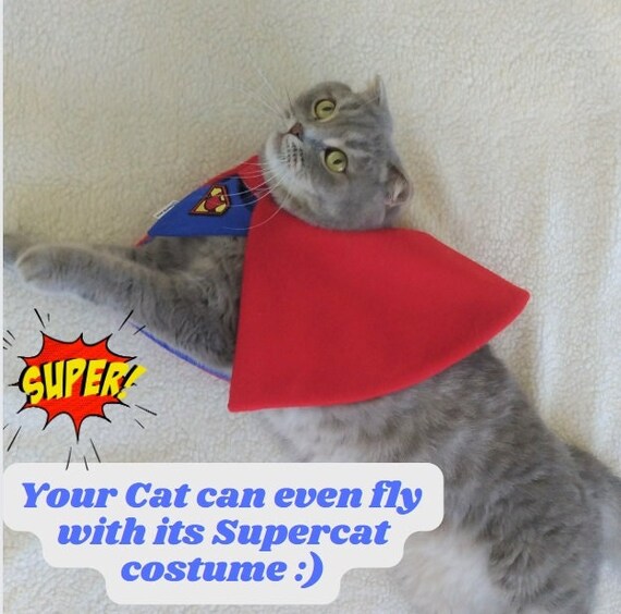 Flying Cats With Capes