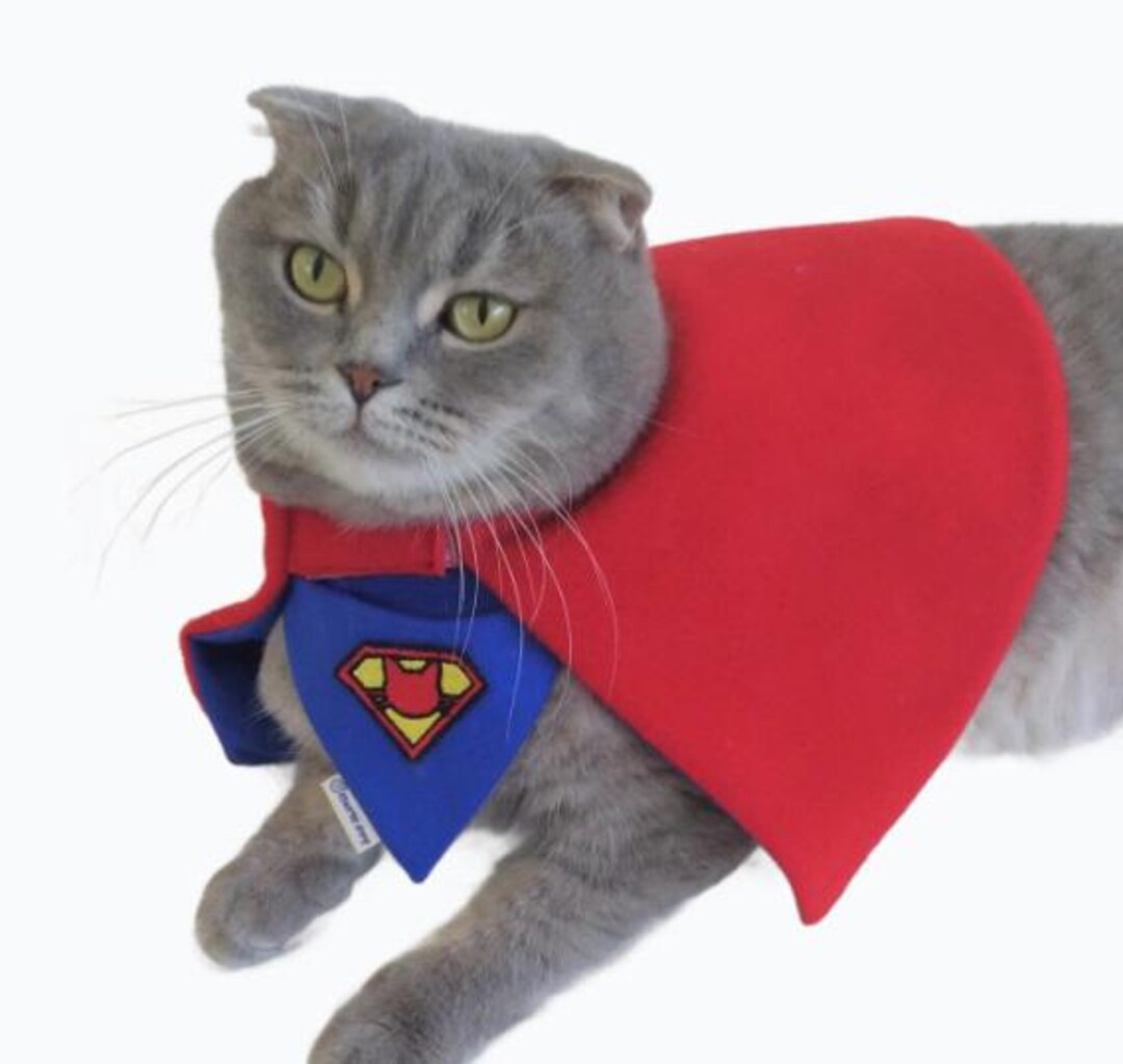 Supercat Costume for Cats, Super Hero Cape, Cat Costume, Super Cat ...
