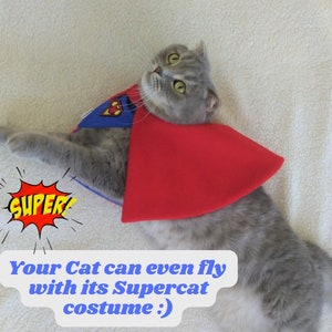 Supercat Costume for Cats, Super Hero Cape, Cat Costume, Super Cat ...