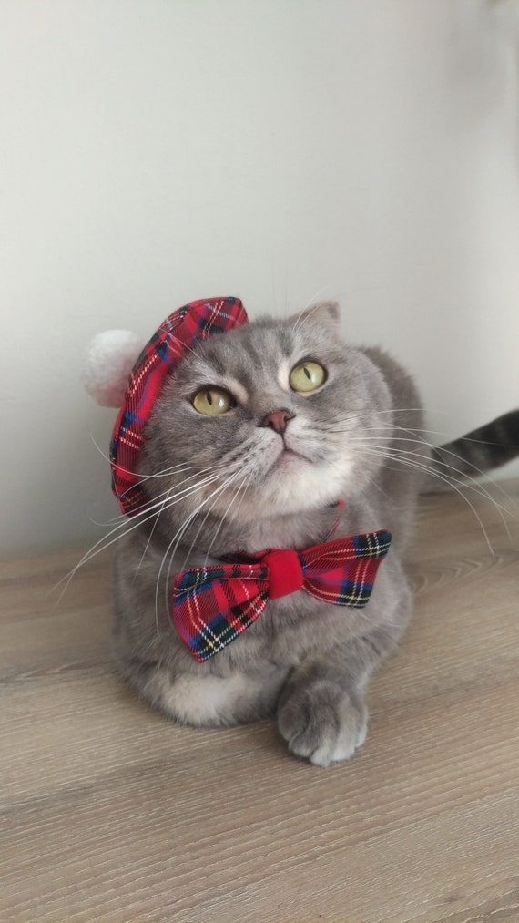 Gato Con Sombrero Y Pajarita Sombrero De Gato Solo Para Gatos Con