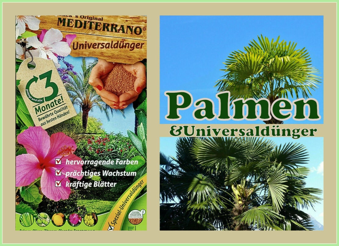 Palm Fertilizer Palm Fertilization 10 KG Mediterrano 5,98euro/kg - Etsy