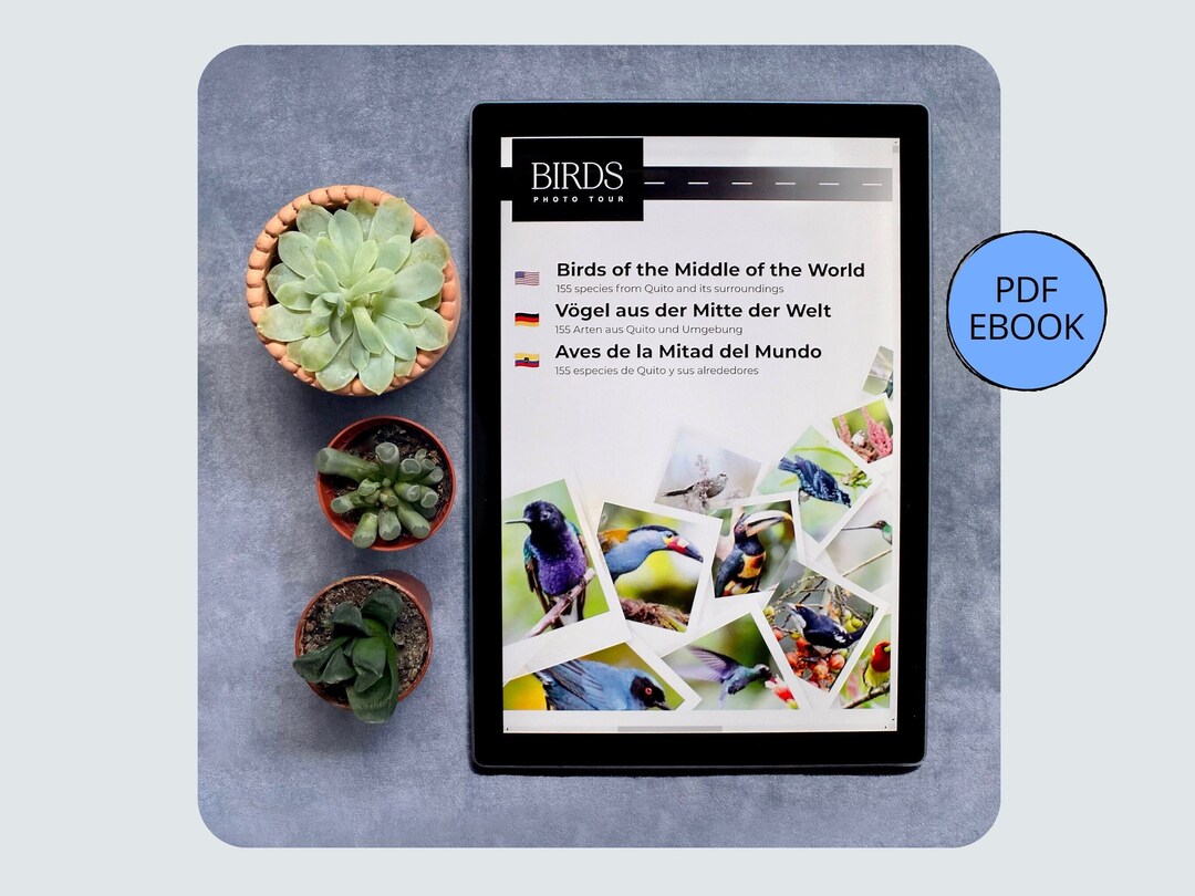 Bird Photography Book Instant Digital Download PDF Ebook Birds of the ...