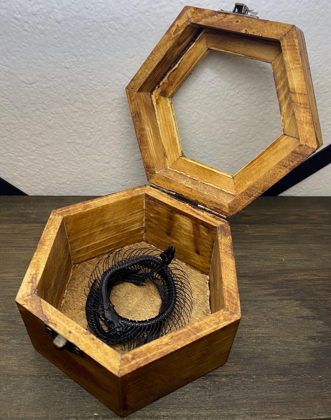Rattlesnake Baby Skeleton in a Box - Etsy