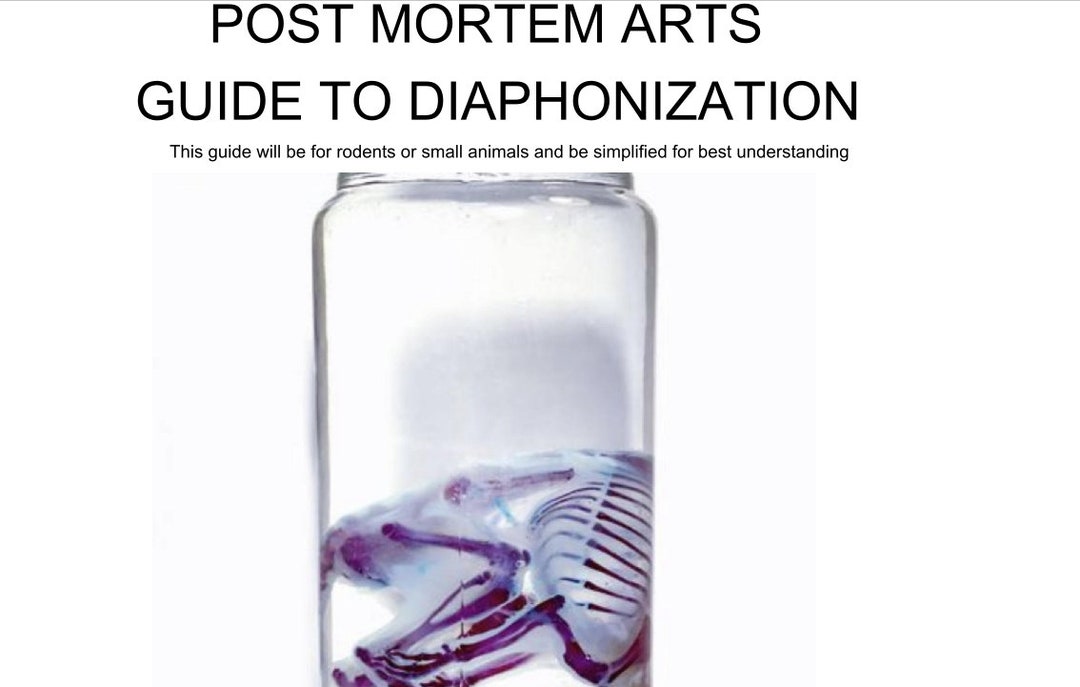 Diaphonization Guide for Rodents and Small Animals - Etsy