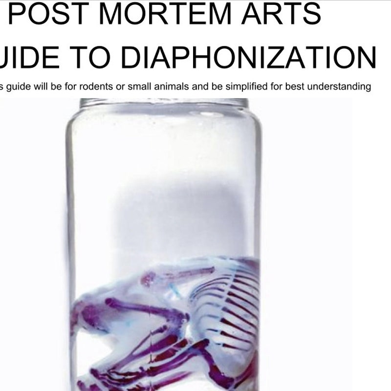 Diaphonization - Etsy