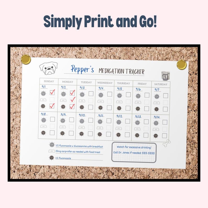 2-week Pet Medication Tracker | Instant Digital Download | Letter Size ...