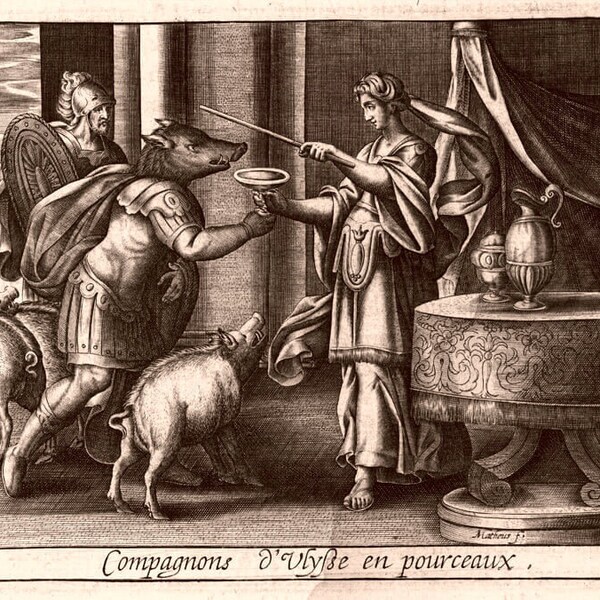 Transformation - Etsy