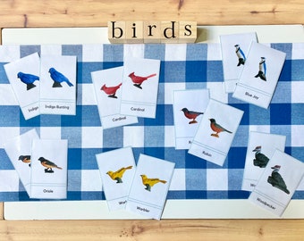 Bird Nomenclature - Etsy