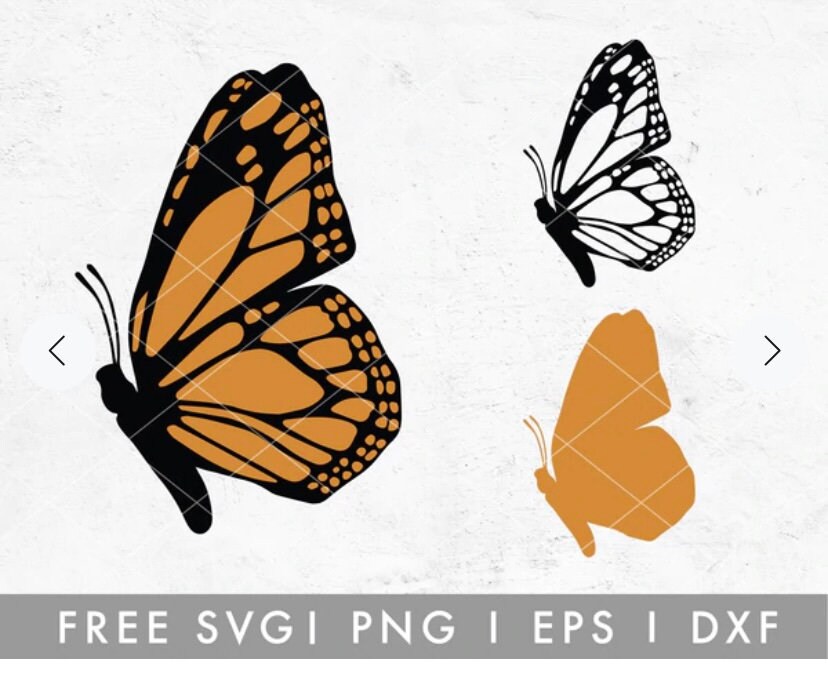 Monarch Butterflies SVG PNG DXF | Etsy