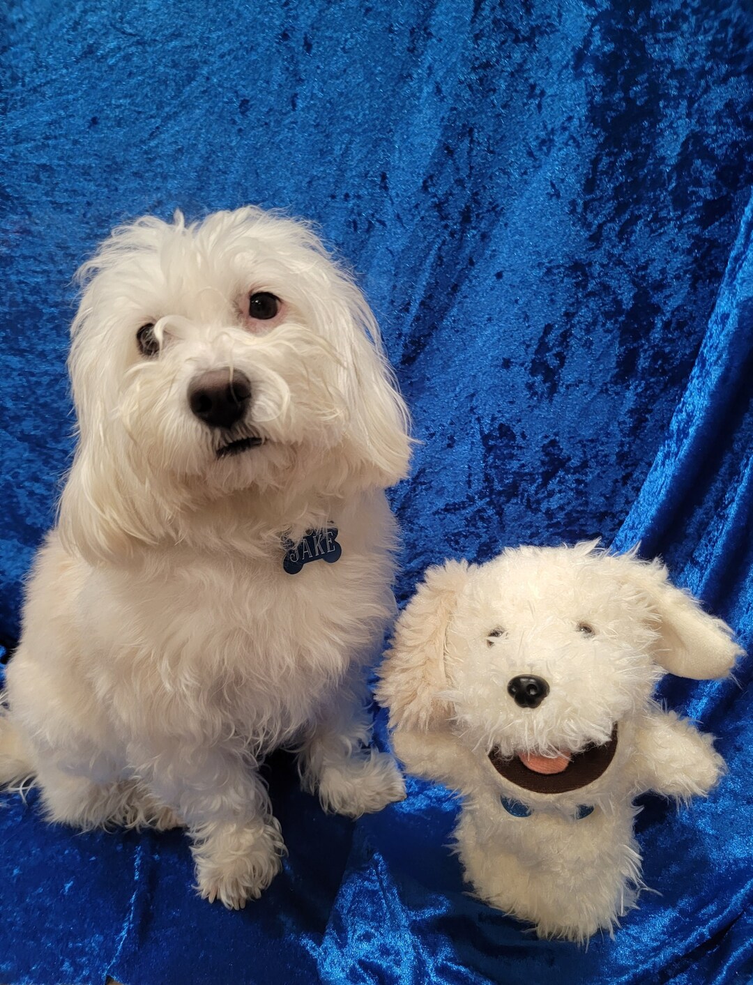 Dog Hand Puppet White Cute Dog Puppet Soft Furry Dog Puppet - Etsy