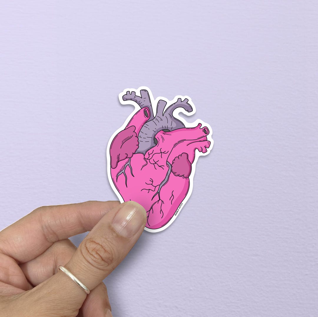 Anatomical Heart Sticker, Pink Purple Heart Sticker Sticker, Heart ...