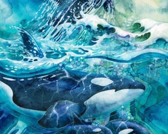 Whale Song~panel~northcott Fabrics - Etsy
