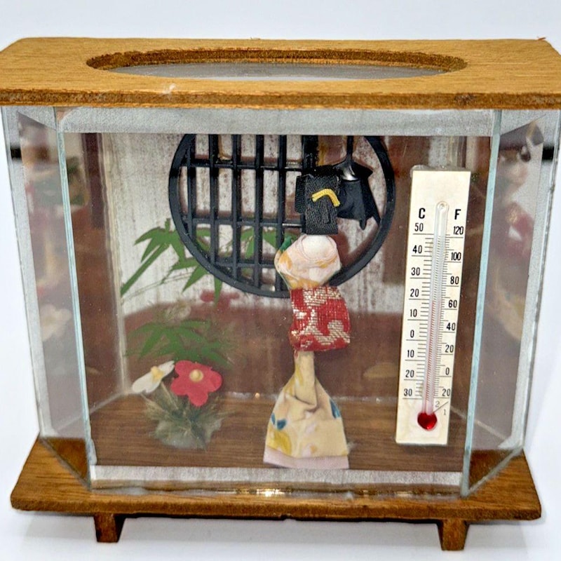 Glass Japanese Doll Case - Etsy