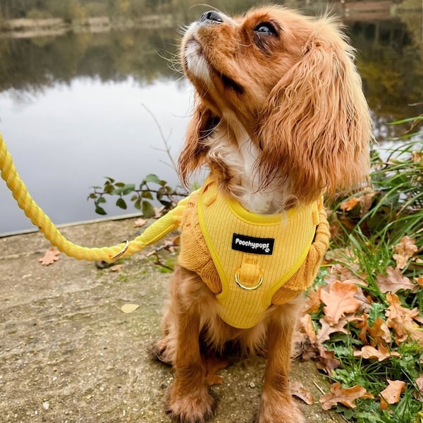 Yellow Dog Harness - Etsy