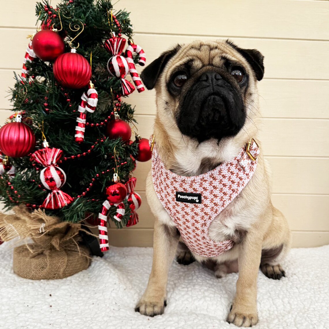Christmas Gingerbread Man Adjustable Dog Harness - Etsy