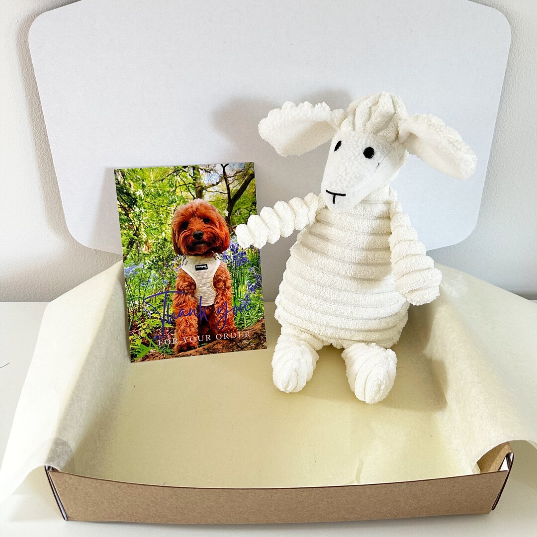 Susie the Sheep Plush Squeaky Dog Toy - Etsy