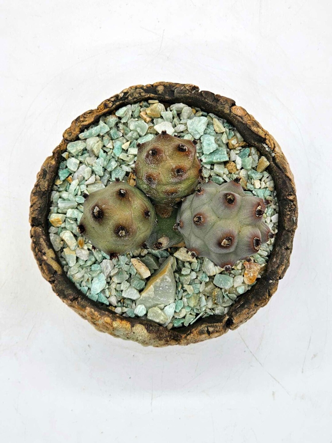 1/8" Glacier Turquoise Rock Topper - 2.5LB Bag - Etsy