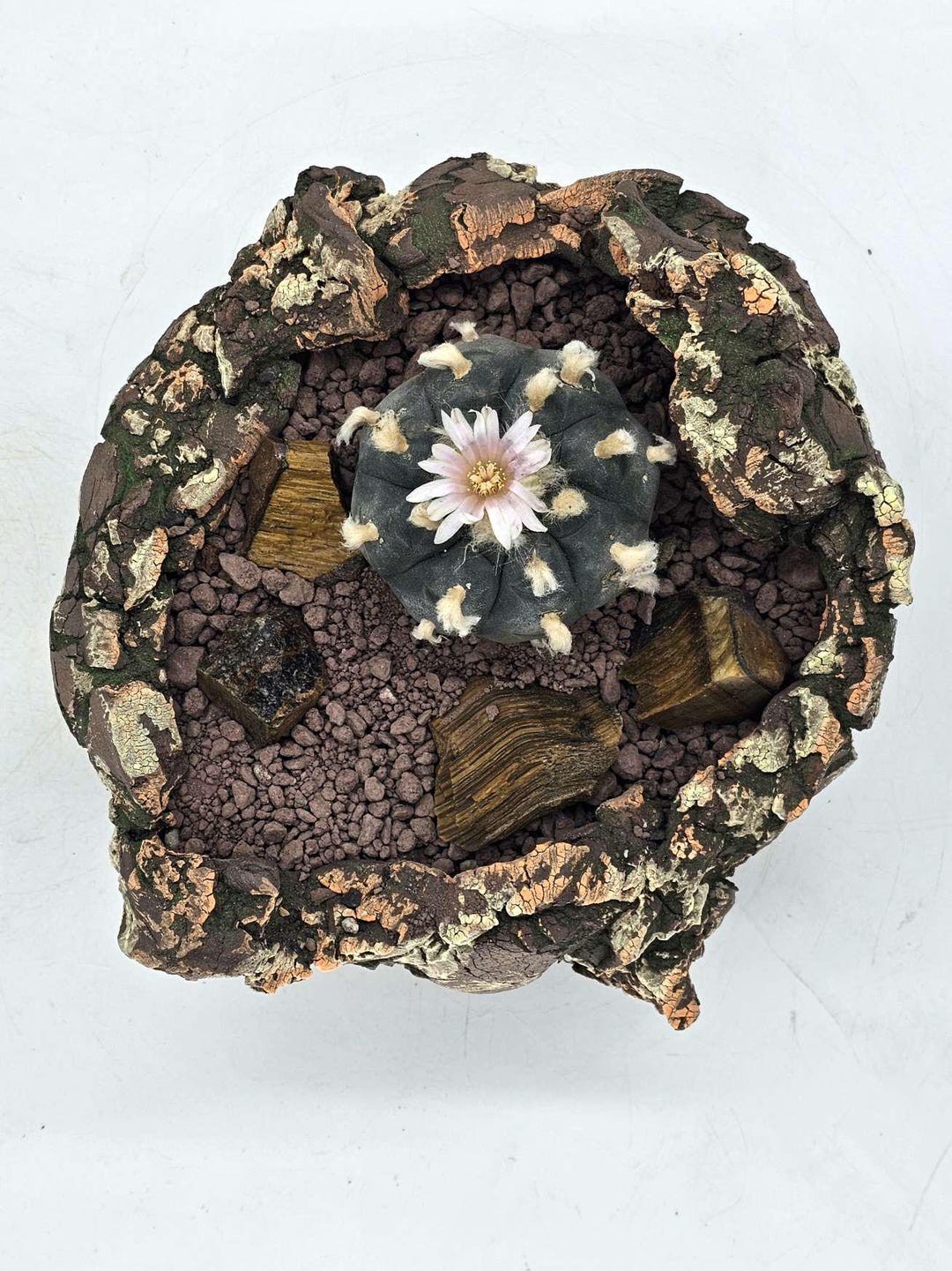 Baja Brown Decomposed Granite Soil Topper- 2.5LB Bag - Etsy