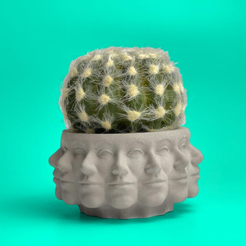 Multi Face Planter - Etsy