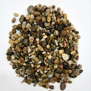 3/8" Del Rio Pebble Rock Topper - 2.5LB Bag - Etsy
