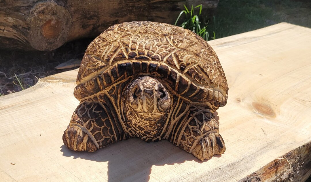 Turtle Chainsaw Carving - Etsy