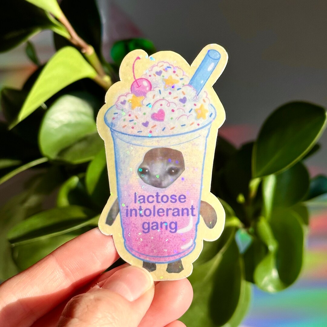 Lactose Intolerant Sticker Cat Meme Sticker IBS Meme Sticker Funny ...