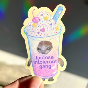Lactose Intolerant Sticker Cat Meme Sticker IBS Meme Sticker Funny ...