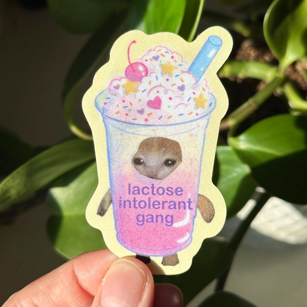 Lactose Intolerant Waterproof Sticker | Cat Meme, IBS, Funny, Non-dairy ...