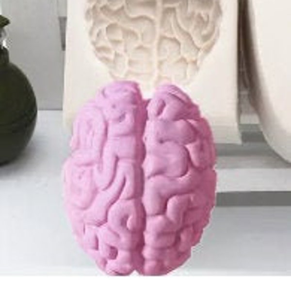 Brain Candy Mold - Etsy