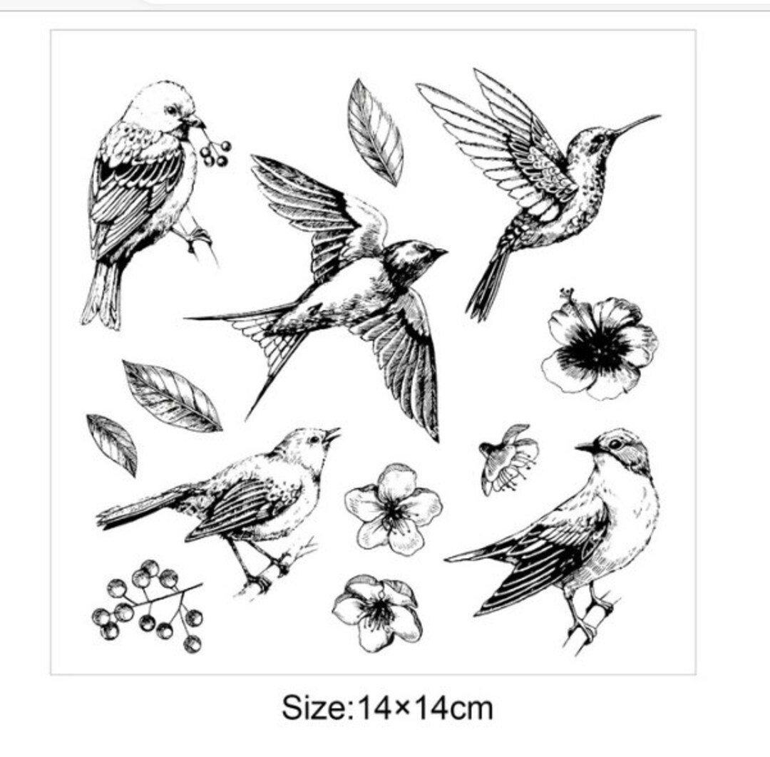 Birds Hummingbird Stamps Texture - Etsy