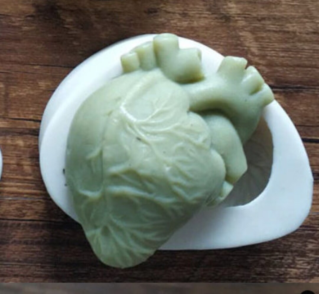 Human Heart Mold Heart Halloween Mold Organ Mold Heart Fondant - Etsy