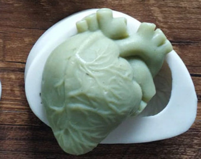 Human Heart Mold Heart Halloween Mold Organ Mold Heart Fondant - Etsy