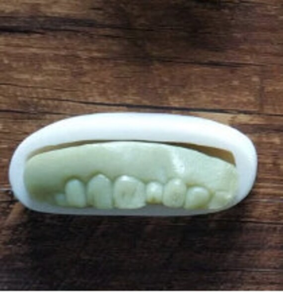 Human Teeth mold halloween teeth mold human teeth fondant mold human ...