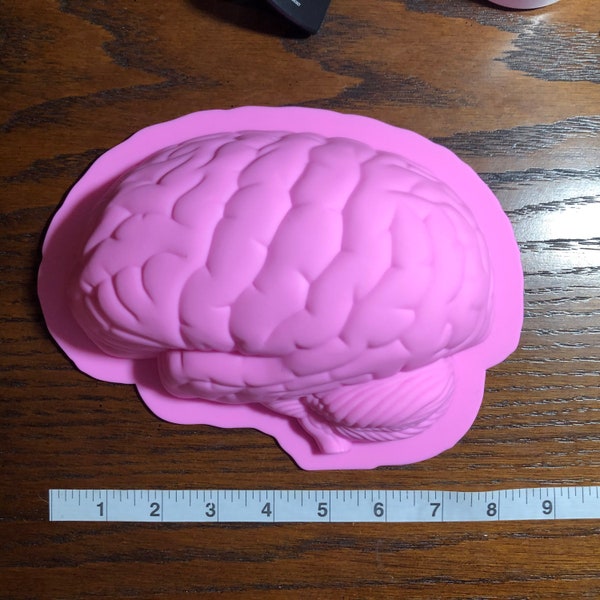 Brain Candy Mold - Etsy