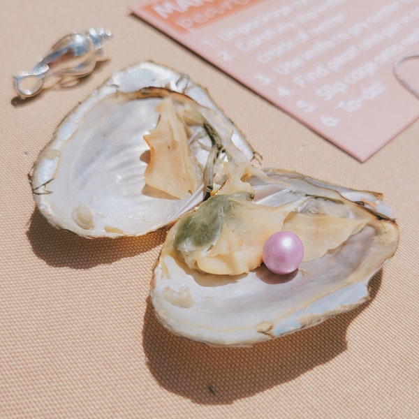 Oyster Pearl Necklace Kit - Etsy